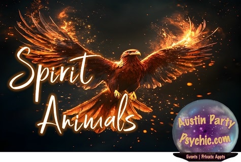 Animal Totem: How to Identify your Spirit Guide and Protector | Austin ...
